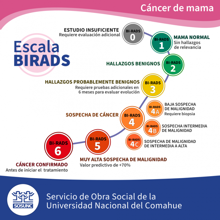 Cáncer de mama: una mamografía aislada no alcanza - SOSUNC